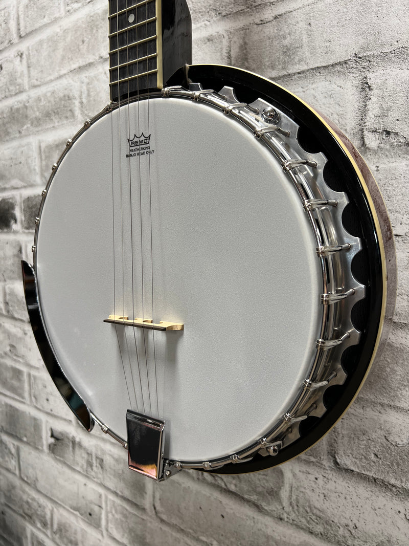 Used Alabama ALB25 5 String Banjo – Faders Music Inc.